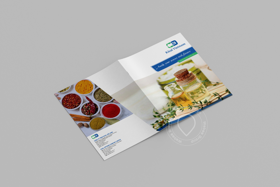 Thiết kế bộ ứng dụng nhận diện thương hiệu và Catalogue Kital - Webee Group