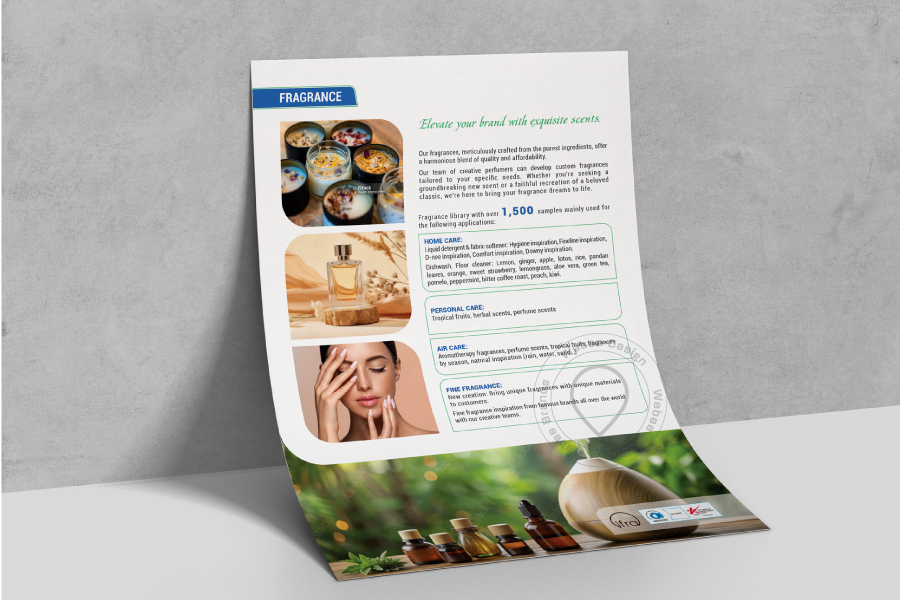 Thiết kế bộ ứng dụng nhận diện thương hiệu và Catalogue Kital - Webee Group